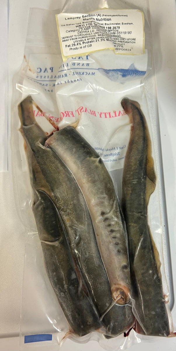 Lamprey Sections – SkerKro